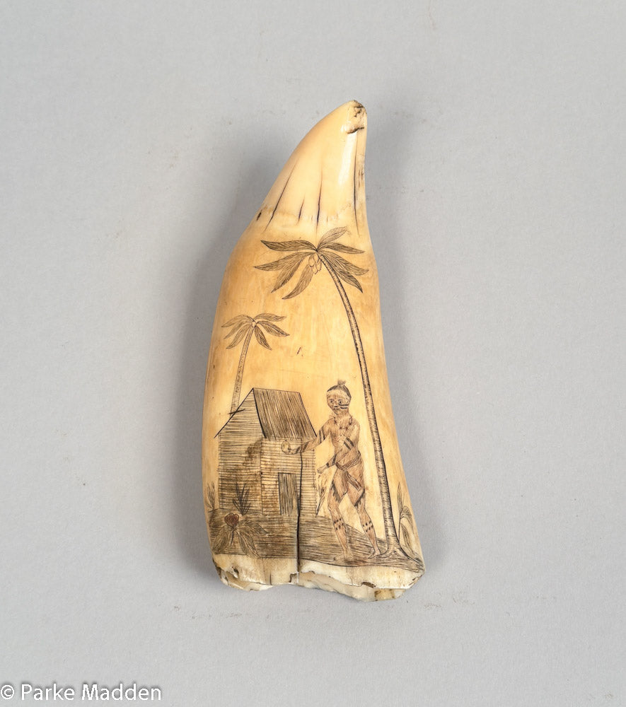 Antique Scrimshaw Sperm Whale Tooth "The Native Tooth" – Paul Madden ...