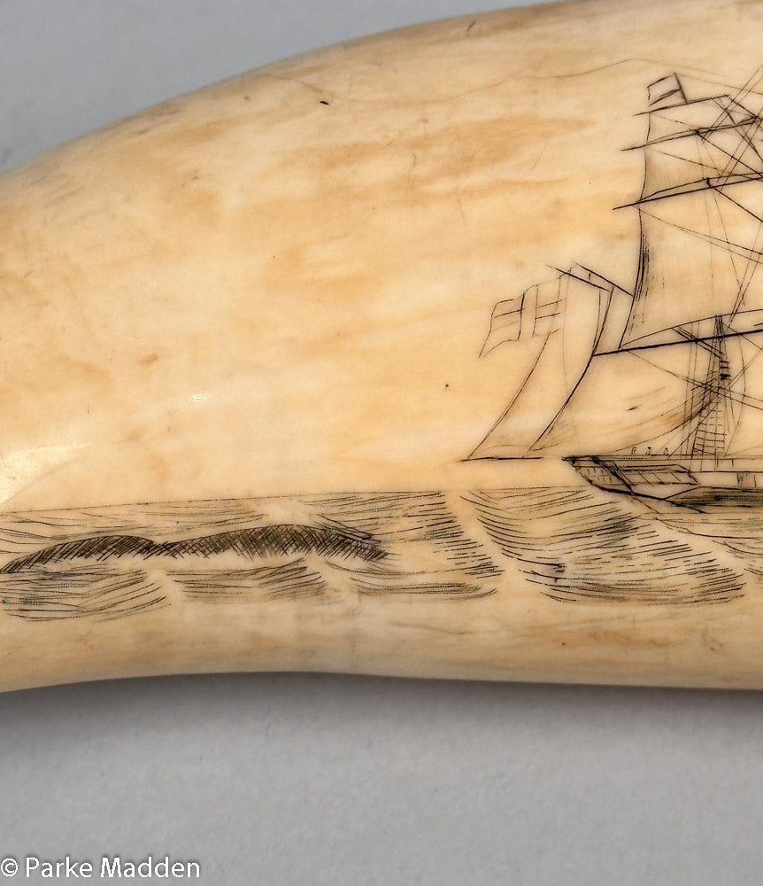 Antique Scrimshaw Tooth Ship & Whales – Paul Madden Antiques