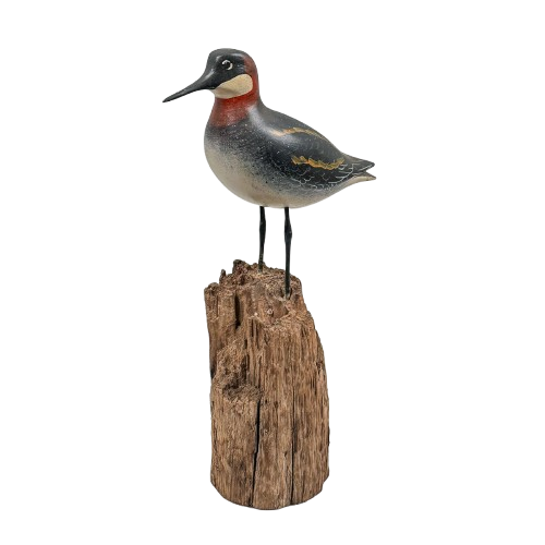 Ruddy Turnstone Bird Carving by Pat Gardner – Paul Madden Antiques