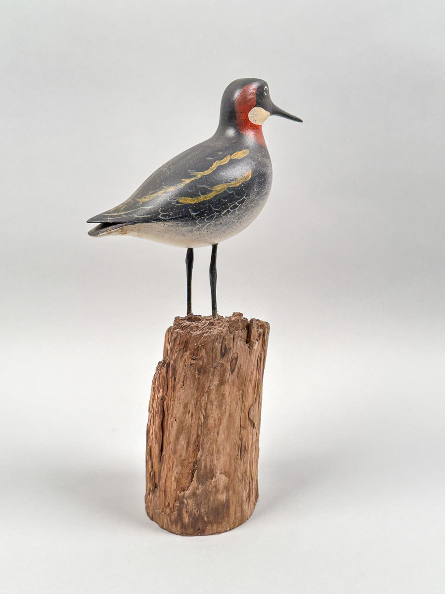 Ruddy Turnstone Bird Carving by Pat Gardner – Paul Madden Antiques