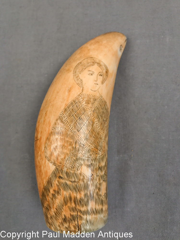 Authentic Sperm Whale Tooth