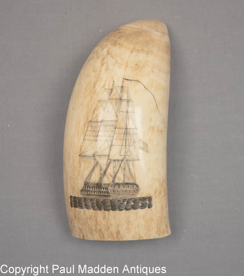 Choice antique scrimshaw engraved tooth – Paul Madden Antiques