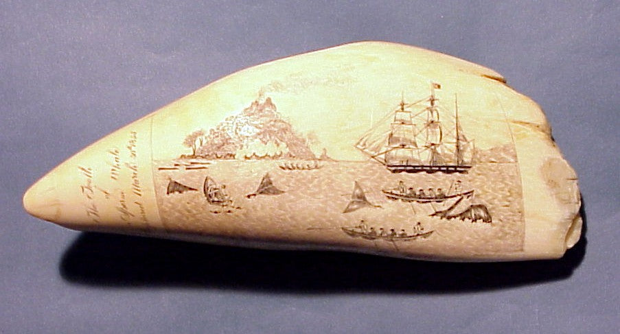 Rare signed Roderick tooth dated 1855. – Paul Madden Antiques